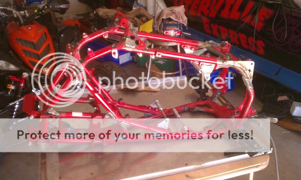 Lets see some powder coated frames | Honda TRX 450R